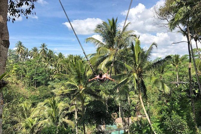Bali Jungle Swing, Ubud Art Market & Puri Saren with Japanese Speaking Guide - Final Thoughts