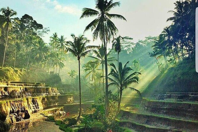 Bali Jungle Swing & Ubud Tour - A Closer Look at the Tour Itinerary