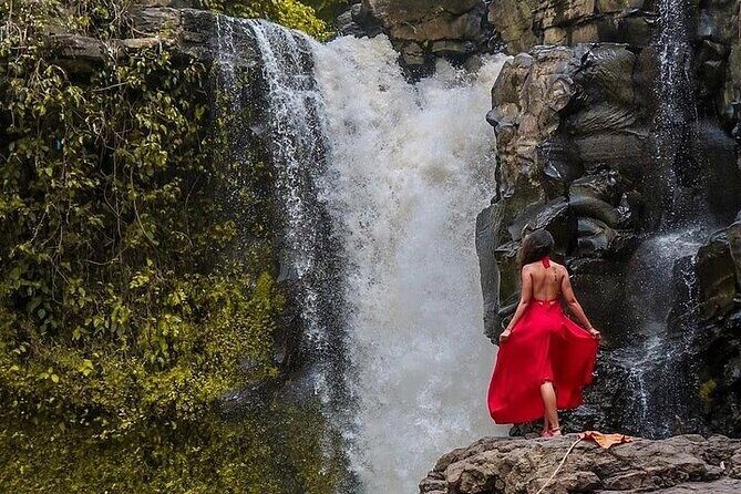 Bali Jungle Swing & Ubud Tour - Who Would Love This Tour?