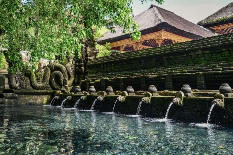 Bali: Jungle Trek, Waterfall Meditation & Water Blessing - Pricing and Value