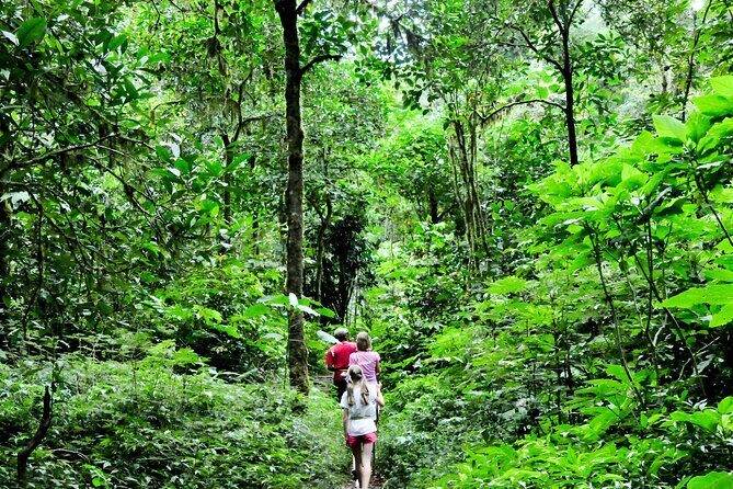 Bali Jungle Trekking in Beautiful Rainforest - What Makes This Tour Special?
