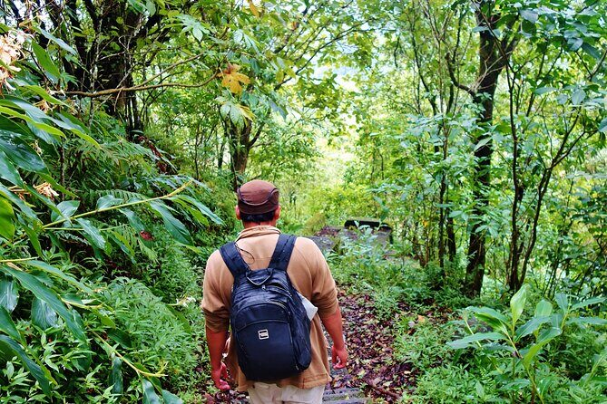 Bali Jungle Trekking in Beautiful Rainforest - Practical Details