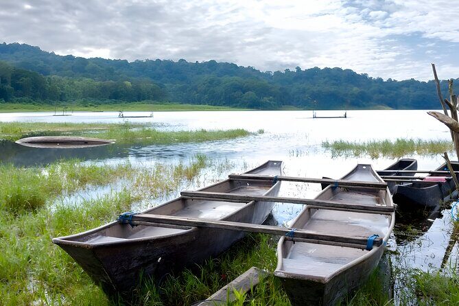 Bali Jungle Trekking in Beautiful Rainforest - Who Would Love This Tour?