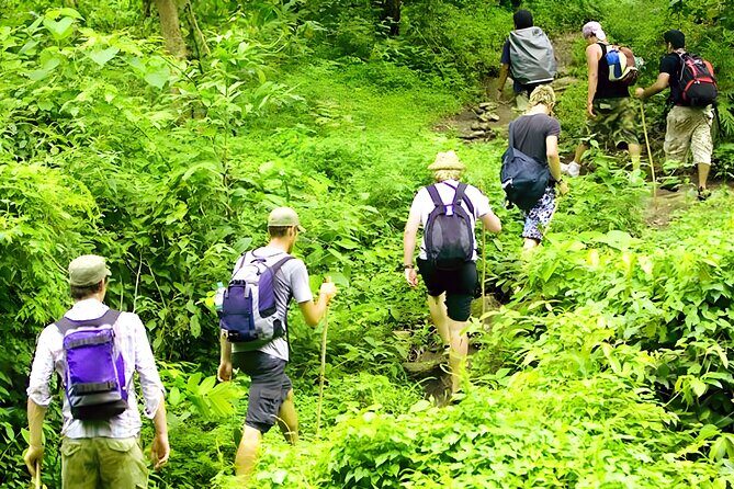 Bali Jungle Trekking with Lunch and Return Hotel Transfer - Final Thoughts: Who Will Love This Tour?
