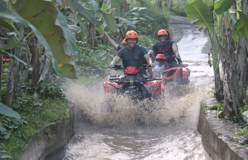 Bali: Jungle, Waterfalls, and Caves ATV Quad Bike Experience - Key Points