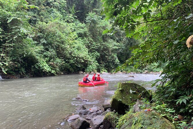 Bali Jungle White Water Rafting Adventure - Authentic Experiences from Travelers