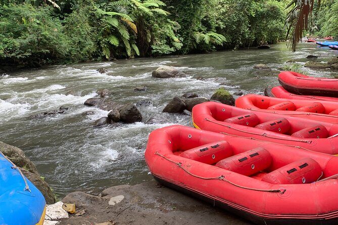 Bali Jungle White Water Rafting Adventure - The Sum Up