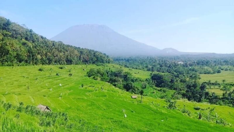 Bali: Kastala Rice Terrace, Tenganan Trekking & Virgin Beach - Key Points