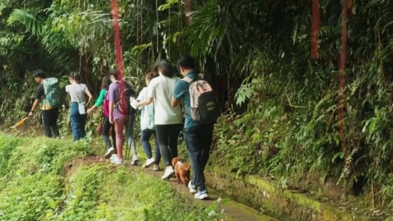 Bali: Kastala Rice Terrace, Tenganan Trekking & Virgin Beach - An Authentic Day in East Bali: What to Expect