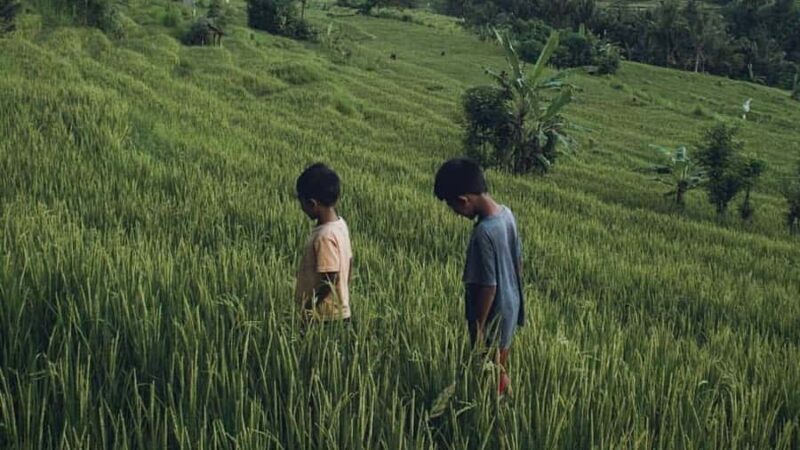 Bali: Kastala Rice Terrace, Tenganan Trekking & Virgin Beach - Who Should Consider This Tour?