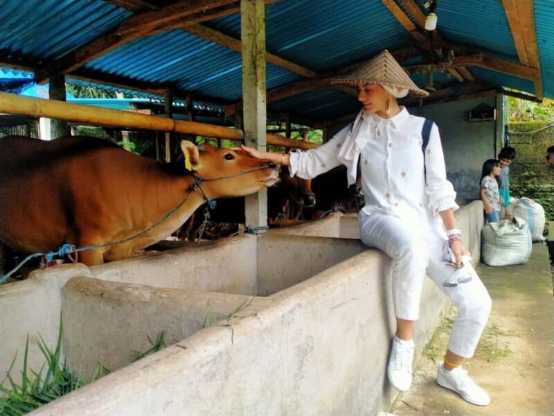 Bali: Kedisan Sustainable Farming and Nature Tour - Detailed Review of the Kedisan Sustainable Farming and Nature Tour