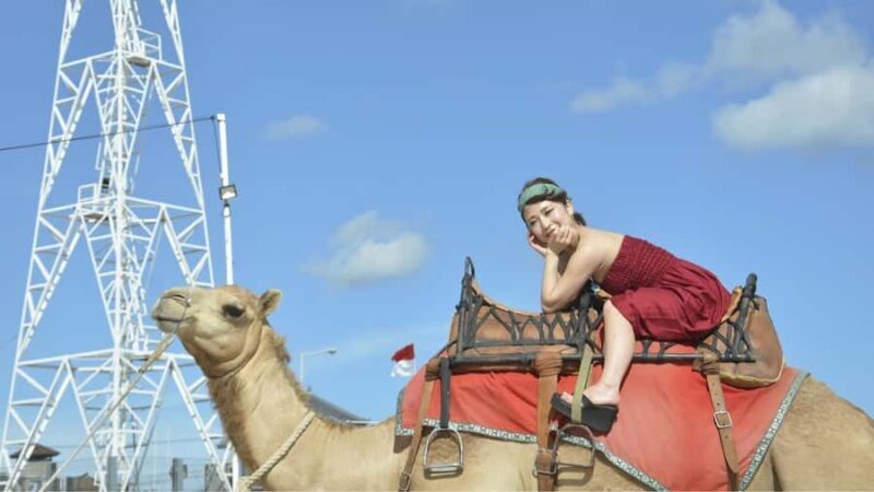 Bali: Kelan Beach Camel Rides Experiences - Who Will Enjoy This Experience?