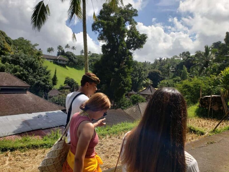 Bali: Kintamani Heritage Tour - Key Points