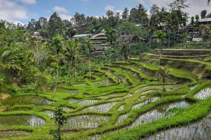 Bali: Kintamani Luxury Private Day Tour with all Tickets - Final Thoughts: Who Will Love This Tour?