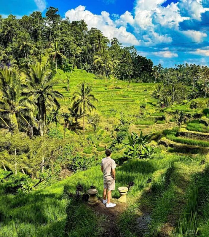 Bali: Kintamani Sunrise Cafe, Waterfalls & Coffee Plantation - Who Will Love This Tour?
