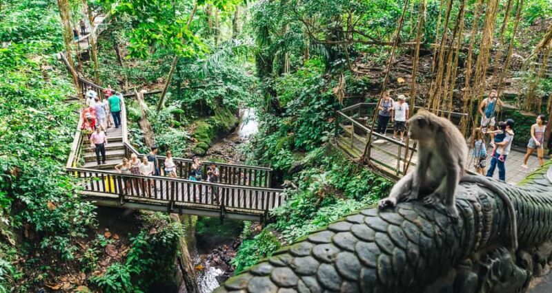 Bali: Kintamani Volcano, Monkey Forest & Rice Terrace Tour - A Practical Overview of the Tour