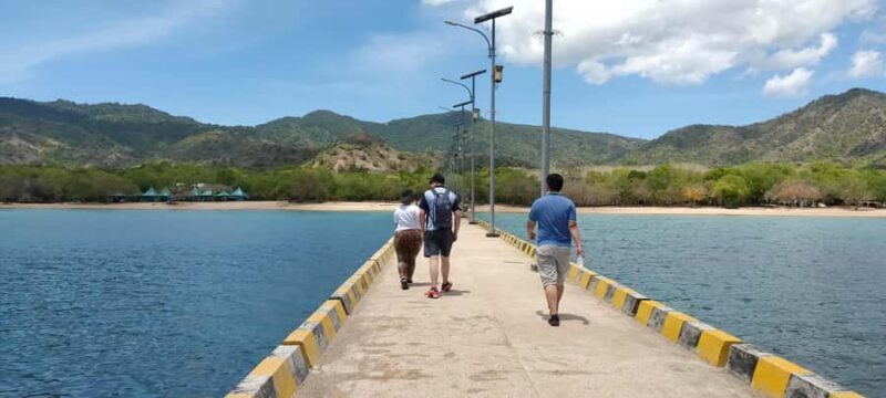 Bali: Komodo Island Guided Day Trip with Lunch and Snacks - The Experience in Detail