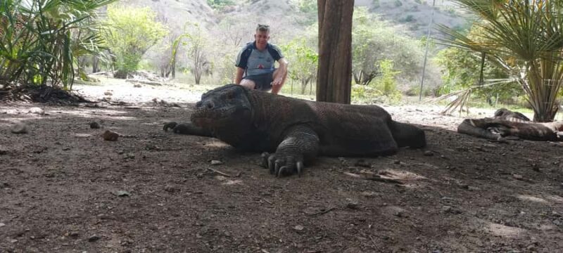 Bali: Komodo Island Guided Day Trip with Lunch and Snacks - Who Is This Tour Best For?