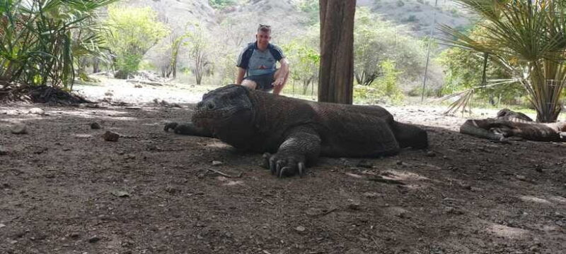 Bali: Komodo Island Guided Day Trip with Lunch and Snacks - FAQ