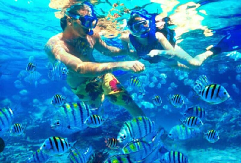 Bali: Labuhan Amuk Snorkeling & Blangsinga Waterfall Tour - Introduction to the Tour