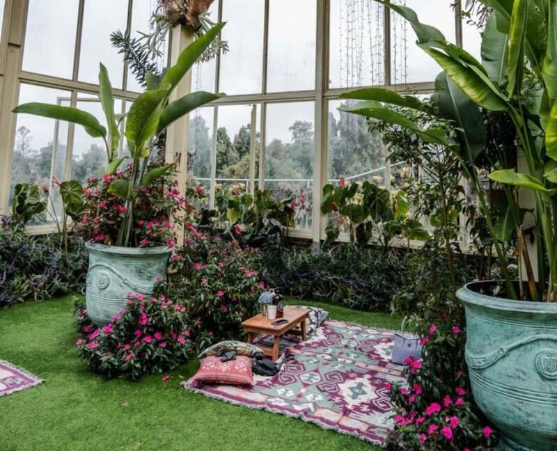 Bali: Lake Beratan Speedboat Tour with Temple Visit - An In-Depth Look at the Bali Lake Beratan Speedboat Tour