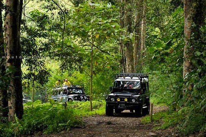 Bali Land Rover Safari & Jungle / Volcano - A Detailed Look at the Bali Land Rover Safari & Jungle / Volcano Tour