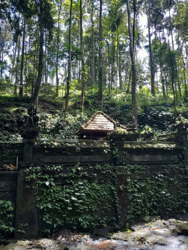 Bali: Legung Luwih Tabanan Village Activities - A Deep Dive into the Day in Legung Luwih Village