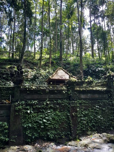 Bali: Legung Luwih Tabanan Village Activities - The Sum Up