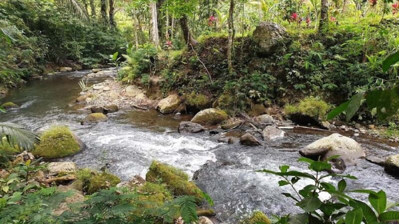 Bali: Leke Leke, Munduk, & Banyumala Waterfalls Private Tour - Why This Tour Is a Great Choice