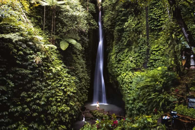 Bali: Leke-Leke Waterfall, Monkey Forest & Jungle Swing Tour - The Value of This Tour