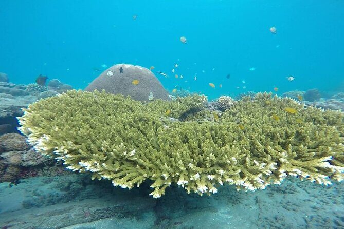 Bali Lempuyang Gate of Heaven and Private Blue Lagoon Snorkeling - FAQ