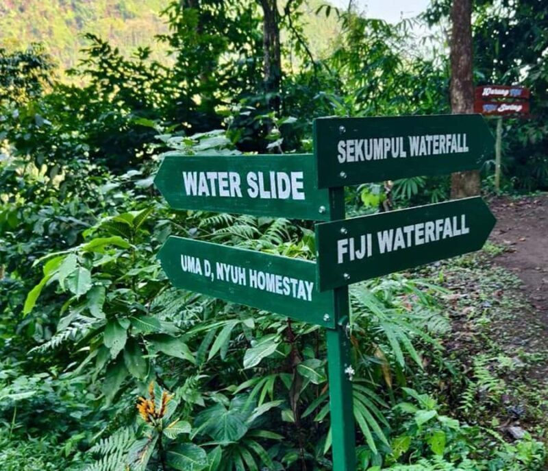 Bali: Lemukih Natural Waterslide & Waterfall Adventure - Final Thoughts