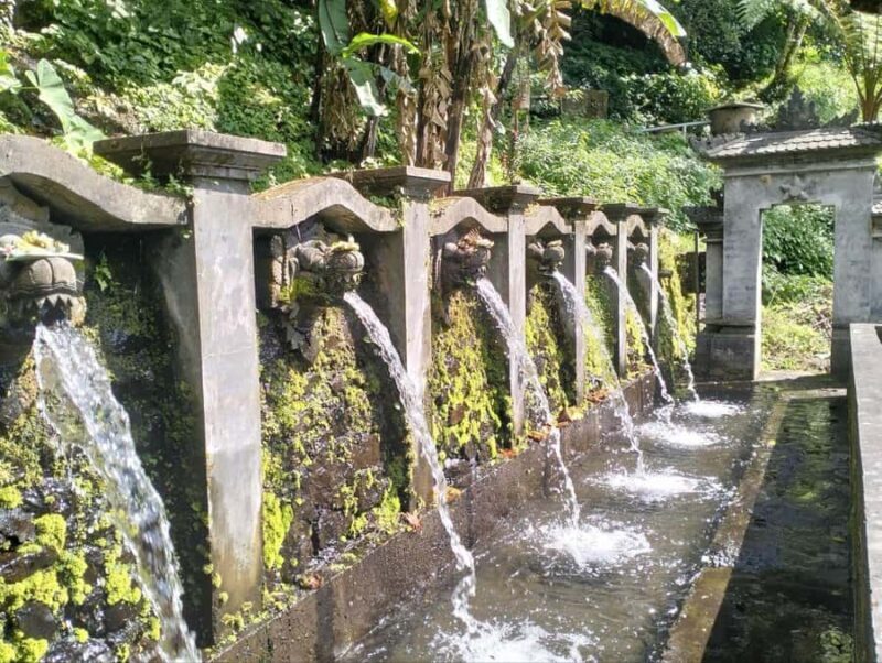 Bali: Lemukih Spiritual Healing Tour with Guide - Key Points