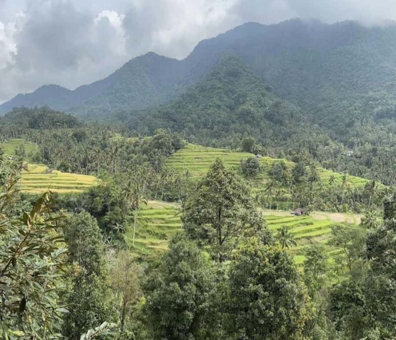 Bali: Lemukih Waterslide Adventure & Rice Terrace Trek - Final Thoughts: Who Will Love This Tour?