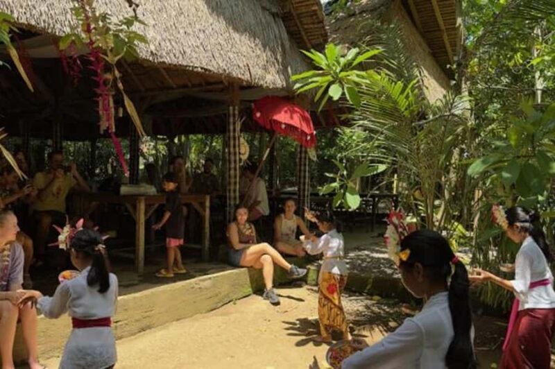 Bali: Local Village and School Tour with Lunch - Key Points