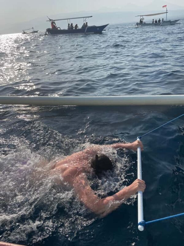 Bali: Lovina Beach Meet Dolphins and Sunrise Catcher - The Sum Up