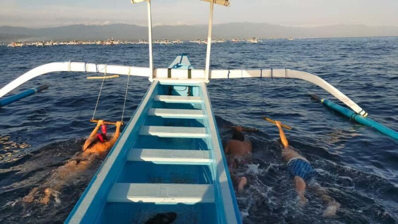 Bali: Lovina dolphin adventure with breakfast and snorkling. - An In-Depth Look at the Lovina Dolphin Tour