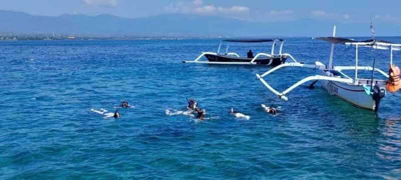 Bali: Lovina dolphin adventure with breakfast and snorkling. - Pricing and Value