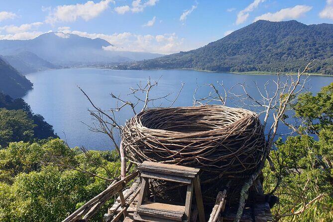 Bali Lovina Dolphin and North Bali Sightseeing - All Inclusive - Key Points