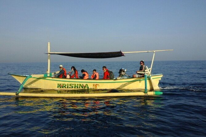 Bali Lovina Dolphin and North Bali Sightseeing - All Inclusive - A Deep Dive into the North Bali Adventure