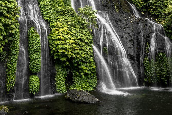 Bali Lovina Dolphin and North Bali Sightseeing - All Inclusive - Authentic Experiences and Authenticity