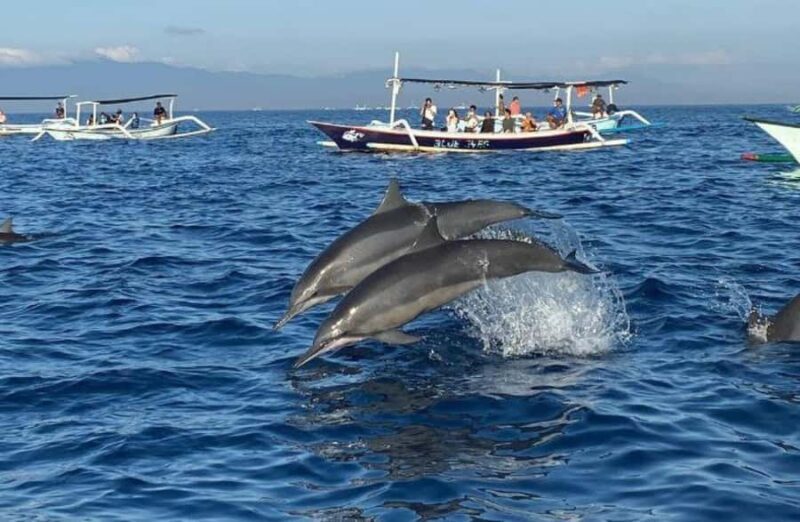 Bali: Lovina Dolphin And Snorkeling With Waterfalls Tours - The Value of This Tour