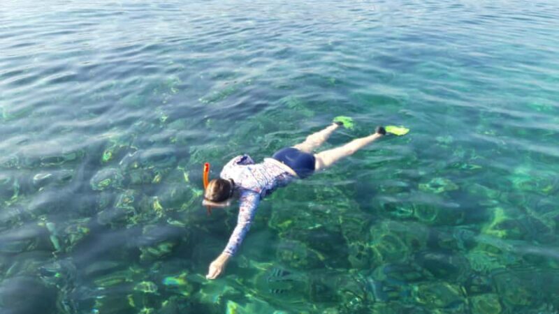 Bali: Lovina Dolphin And Snorkeling With Waterfalls Tours - Who Should Consider This Tour?