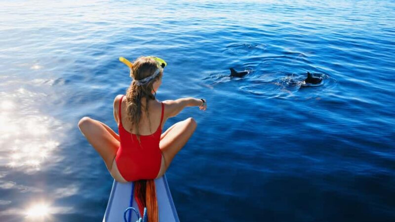 Bali/Lovina: Dolphin Snorkeling, Swimming & Waterfall Tour - Key Points