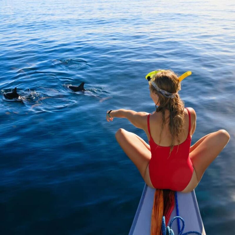 Bali: Lovina Dolphin Watching and Snorkeling Tour - An In-Depth Look at the Bali Lovina Dolphin and Snorkeling Tour