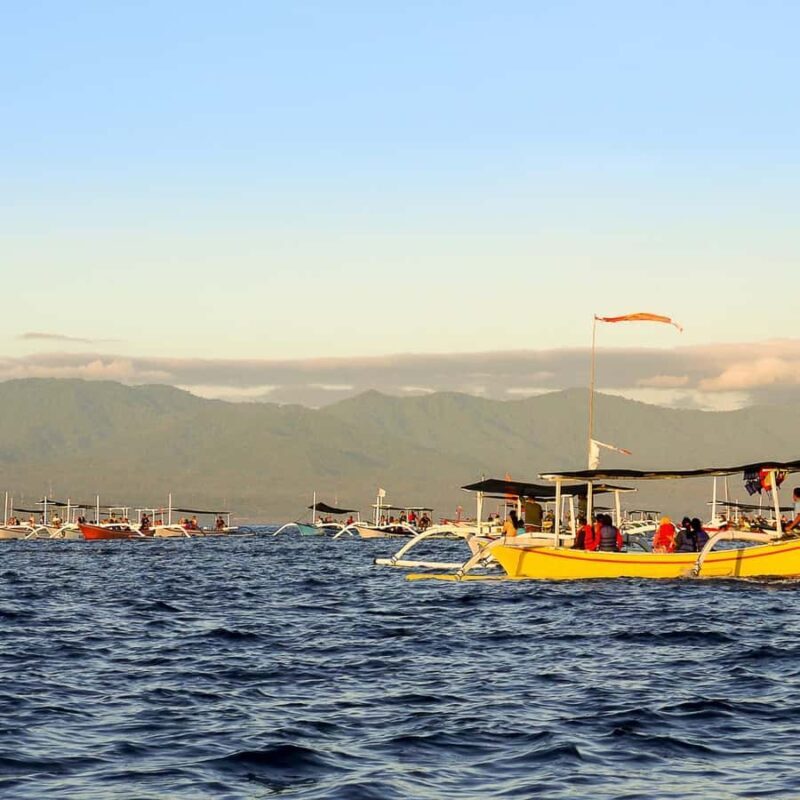 Bali: Lovina Dolphin Watching and Snorkeling Tour - Final Thoughts: Who Will Love This Tour?