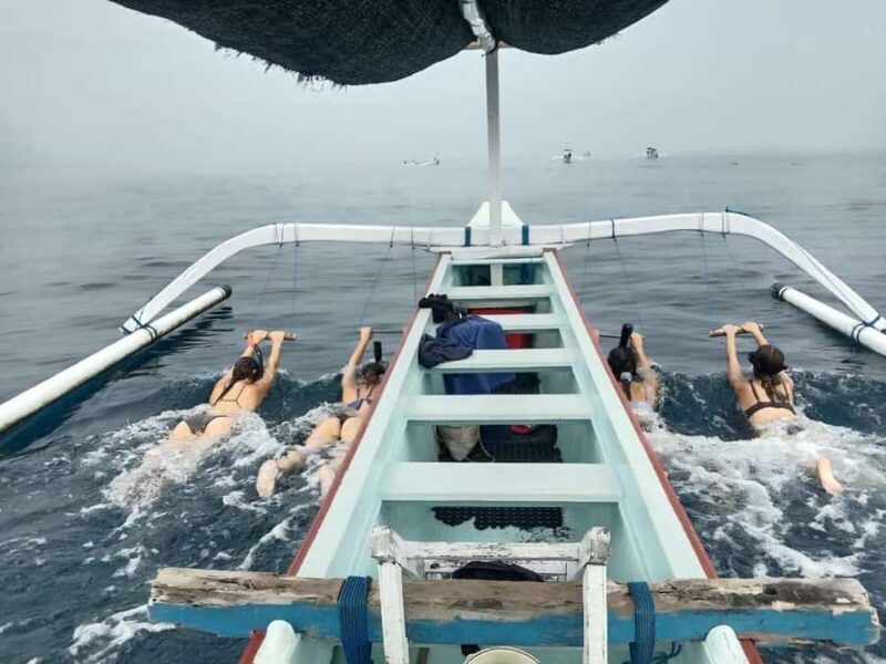 Bali: Lovina Dolphin Watching and Snorkeling Tour - Authentic Experiences and Honest Value