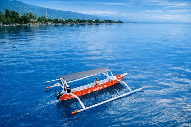 Bali/Lovina: Guided Dolphin Watching & Sunrise Boat Snorkel - The Experience: What to Expect on Your Dolphin & Snorkel Trip