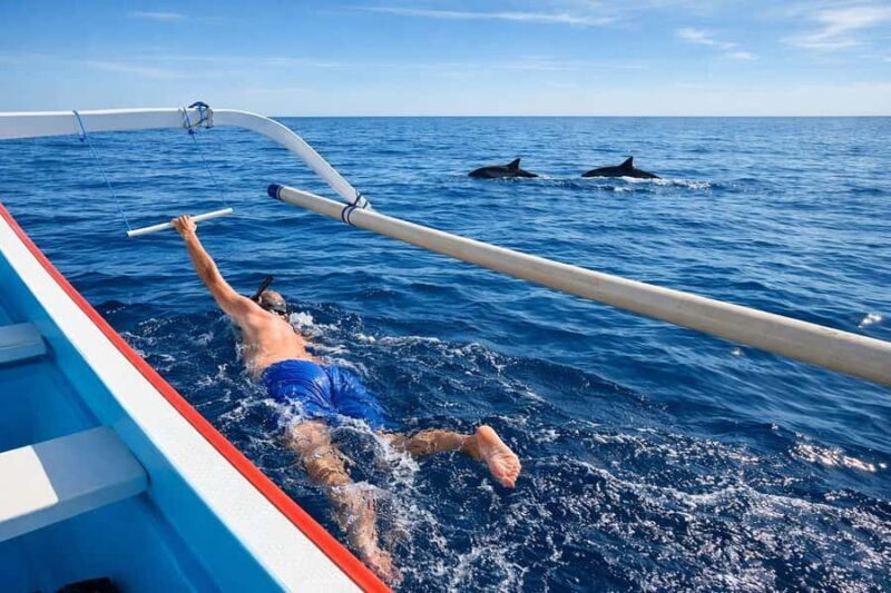 Bali/Lovina: Guided Dolphin Watching & Sunrise Boat Snorkel - Respectful Wildlife Encounters and Safety