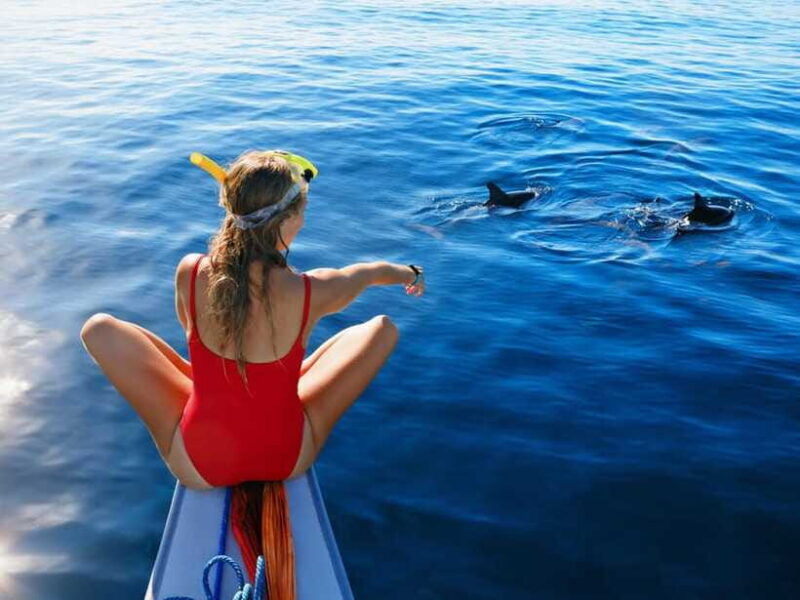 Bali: Lovina Marine Wonders, Dolphin Swim & Snorkeling. - The Sum Up